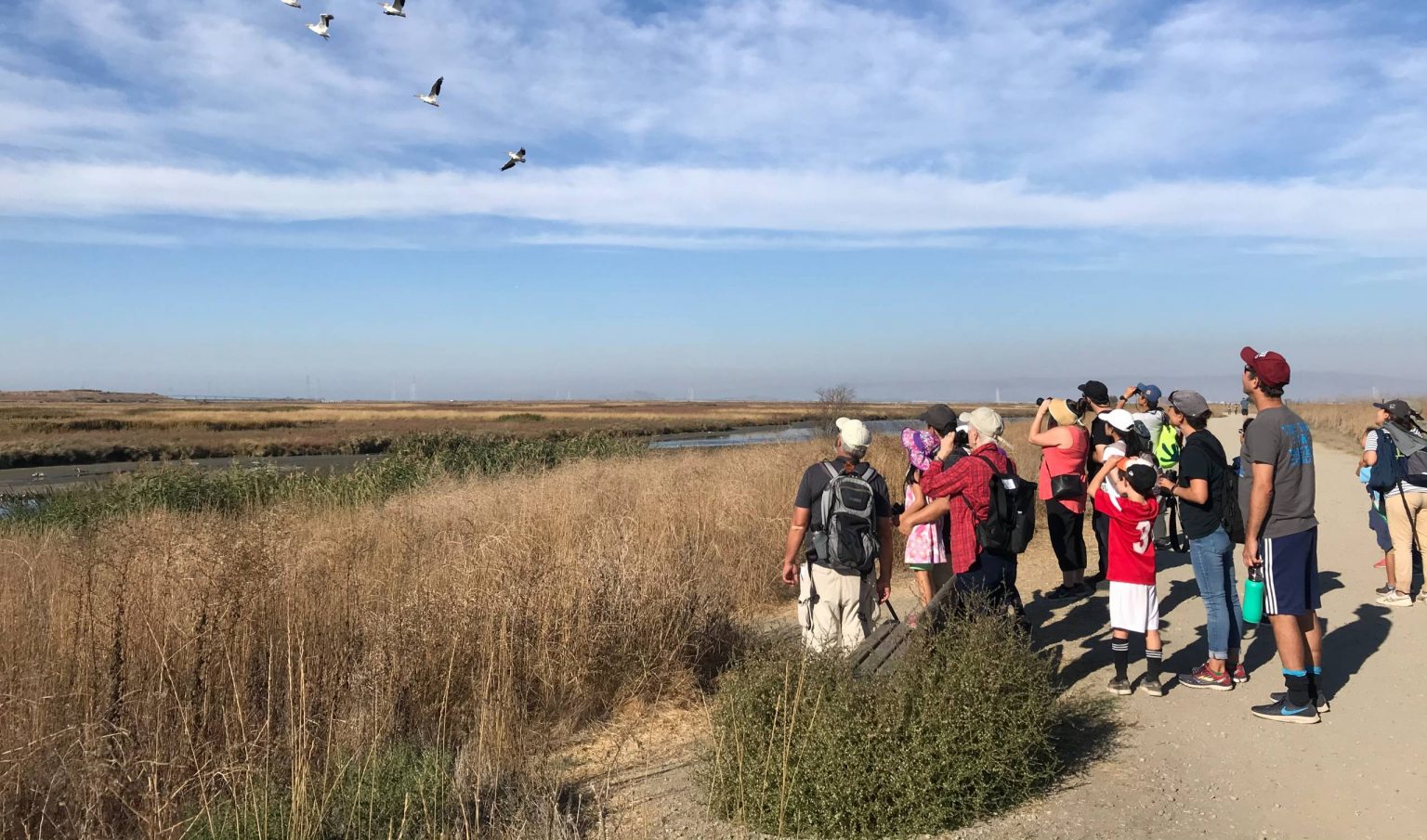 Explorer Tours - Bay Area Science Festival